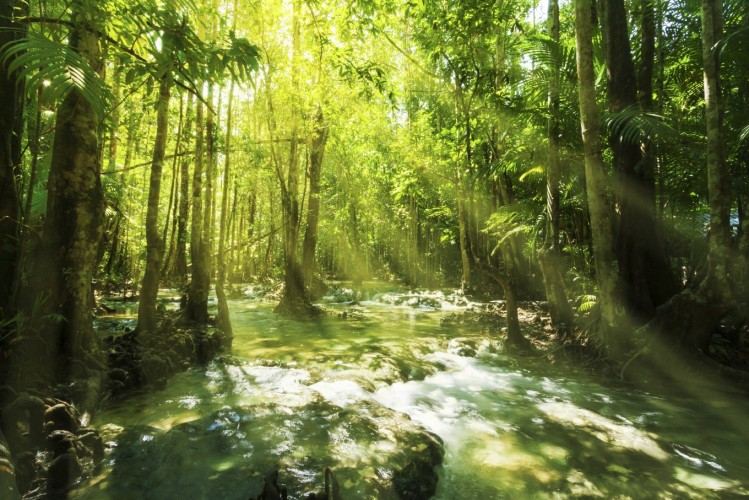 Helminthic Therapy | Restoring Personal Ecosystem | Biome Normalization